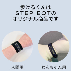【公式】ACCAPI/STEP EQT - 着る医療で人もワンちゃんも元気でイキイキと！